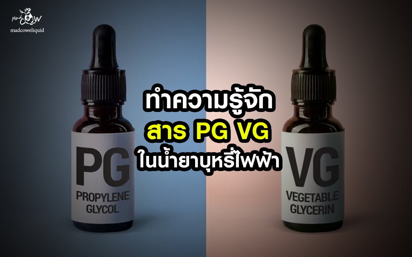 ทำความรู้จักกับสาร PG VG ในน้ำยาบุหรี่ไฟฟ้า คืออะไร | Madcow E-liquid
